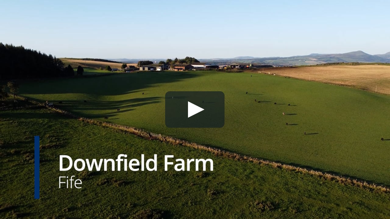 DOWNFIELD on Vimeo