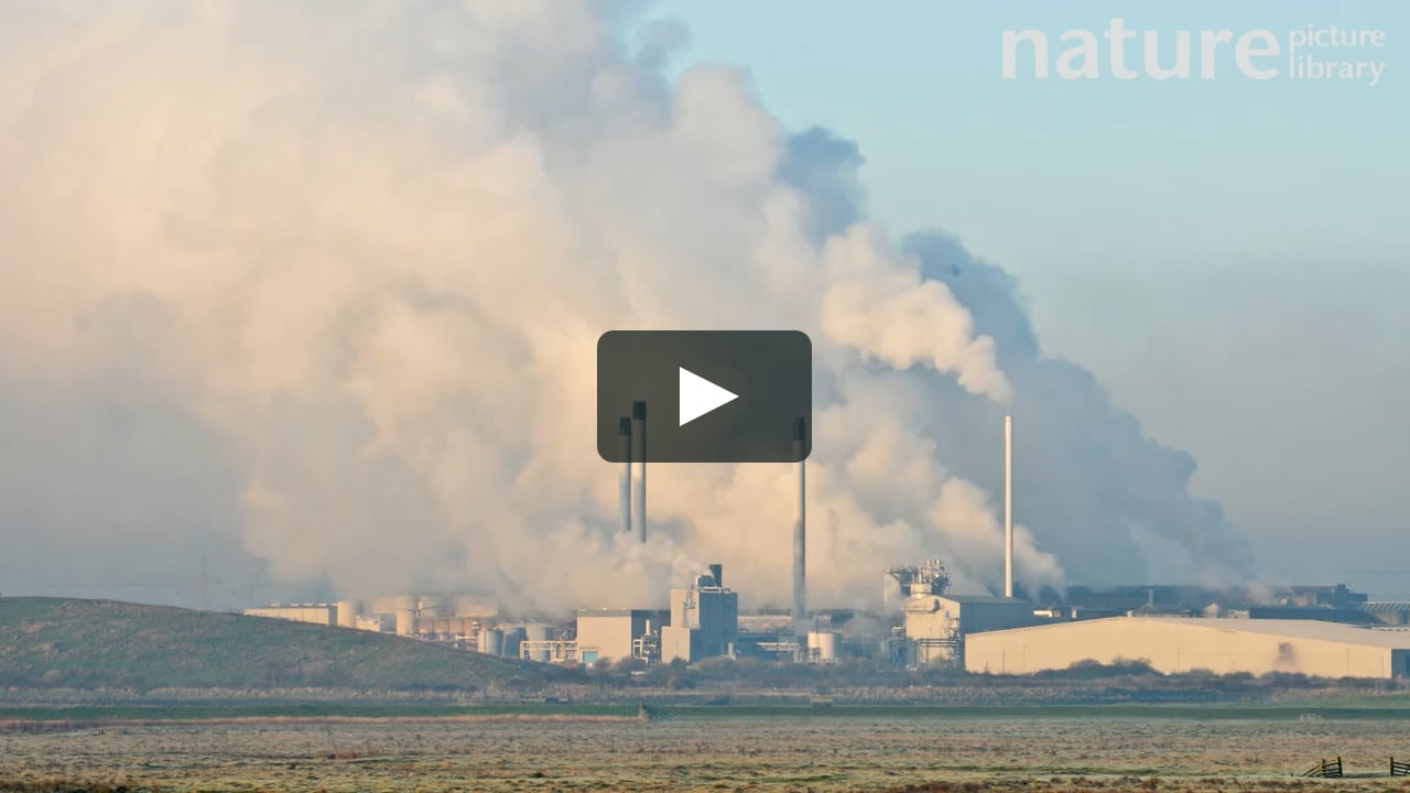 Timelapse of Kemsley Paper Mill, Kent, England, UK, February 2011 on Vimeo