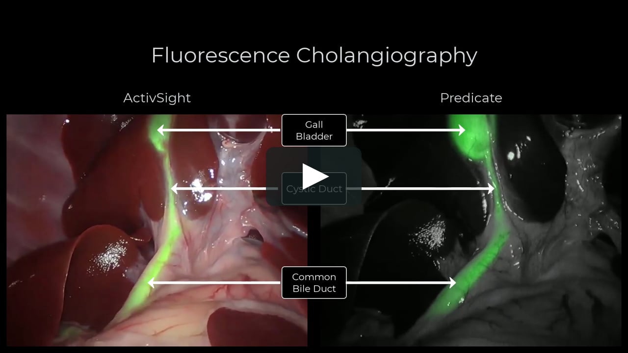 ActivSight-Bile Duct Visualization - ActivICG Equivalence to Predicate ...