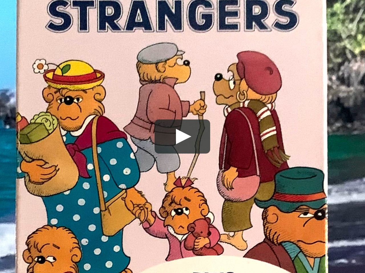 The Berenstain Bears Learn About Strangers (1992 Goldstar Video VHS) on ...