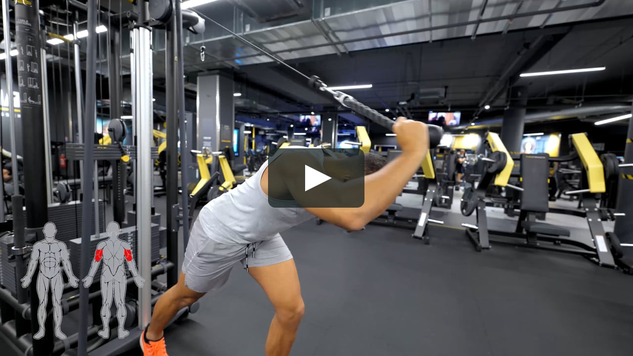 tirage triceps corde inversé - on Vimeo