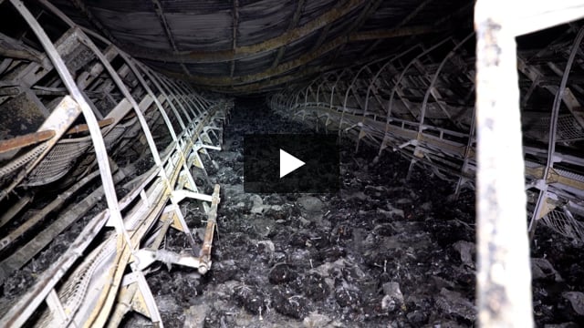 Video: Aftermath of shed fire at Kinross intensive egg farm - Farm ...
