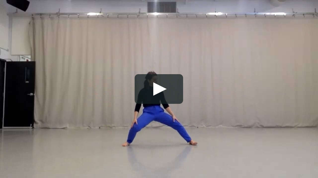 Maayan Liebman-Sharon & Marie-Chantale Béland -zoom event on Vimeo