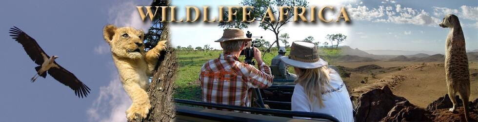 WILDLIFE AFRICA on Vimeo