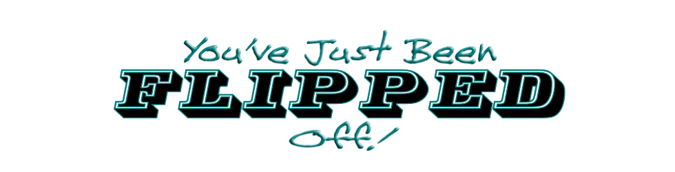 You've Just Been Flipped Off! on Vimeo
