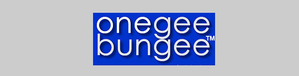 The Onegee Bungee™ on Vimeo