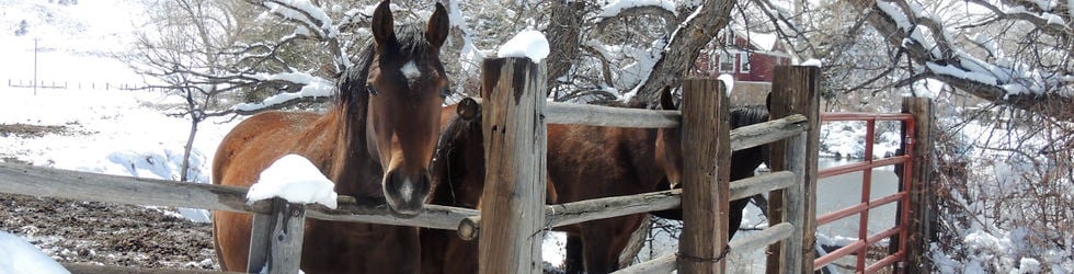 Preserve the Y Cross Ranch on Vimeo