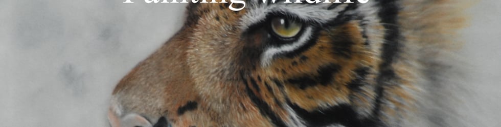 Painting wildlife on Vimeo
