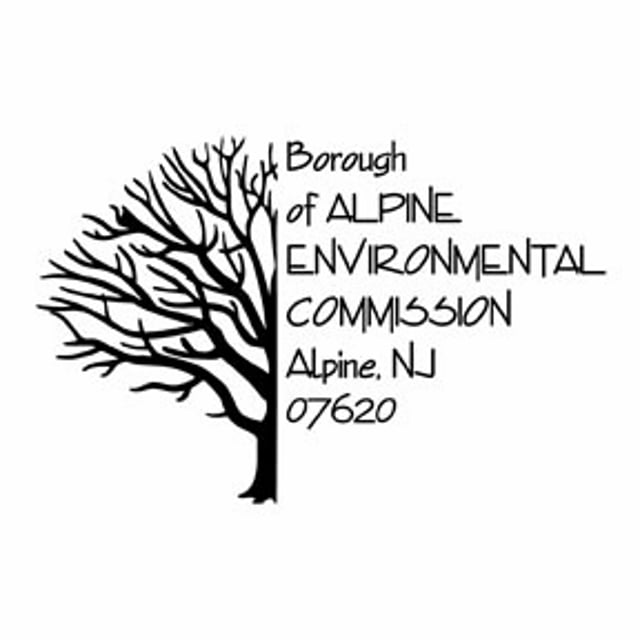 Alpine Environmental Commission