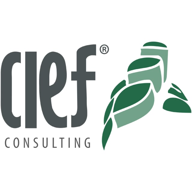 CIEF Consulting