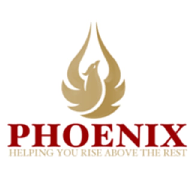 Team Phoenix