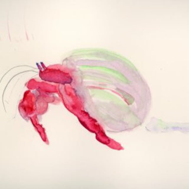 Ingrid Bachmann