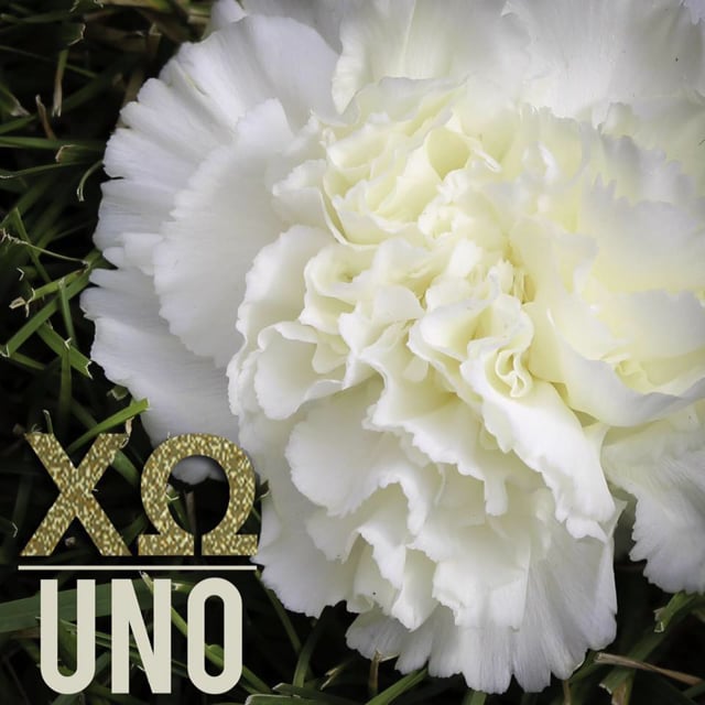 Chi Omega UNO - Zeta Delta