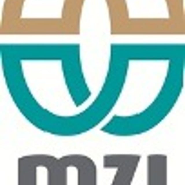 MZI Resources Ltd