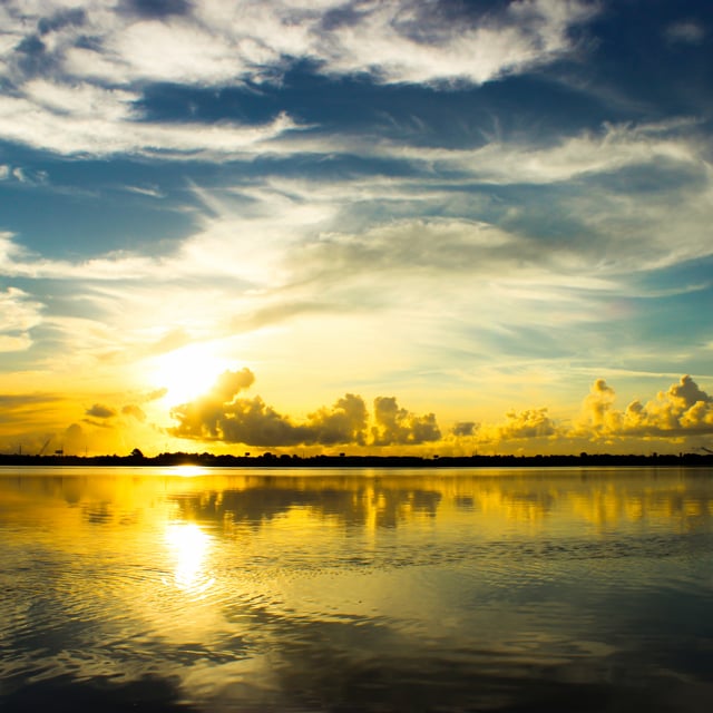 Jay Wayne Productions