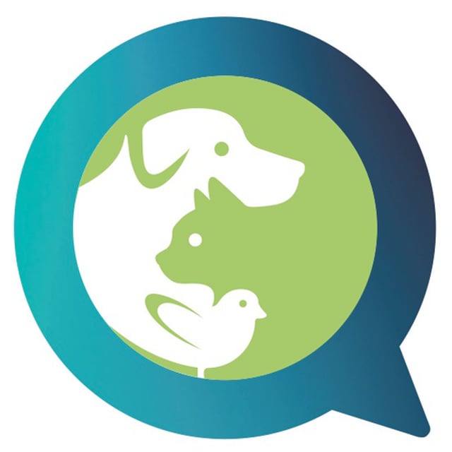 AMVQ - FORMATION CONTINUE