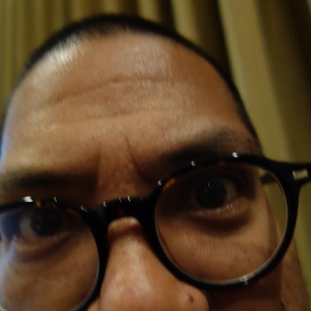 Rex de Guia