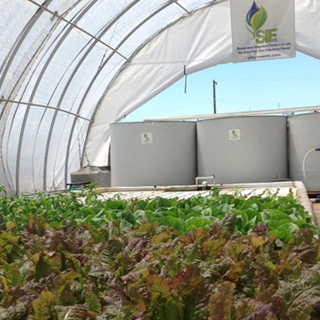 Sustainable Integrated Farms Int