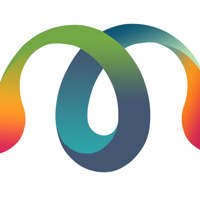 Master Software Solutions