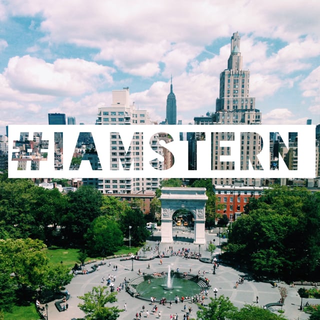 NYU Stern Undergraduate College