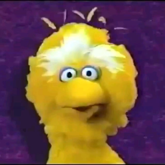 big bird fan