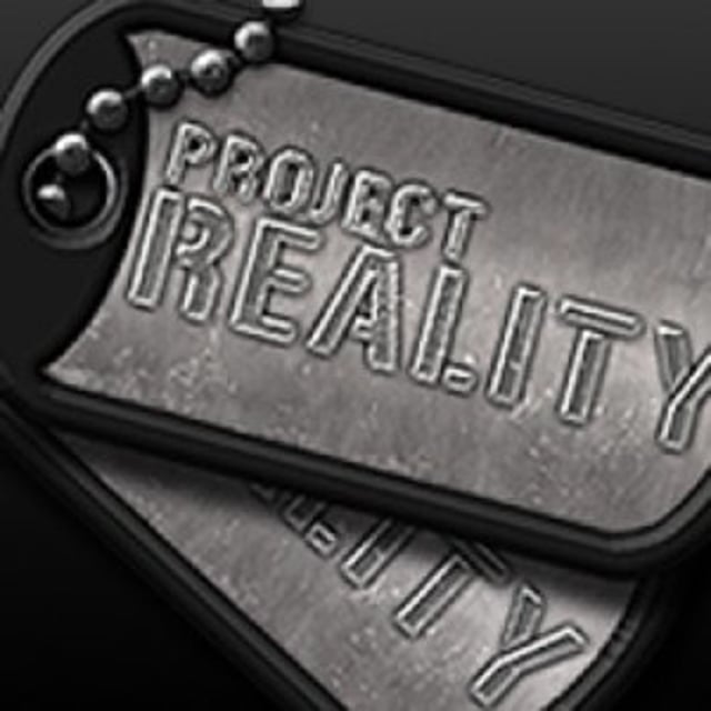 Project Reality