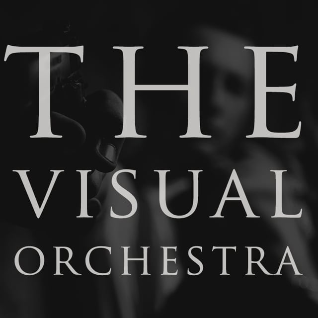 The Visual Orchestra