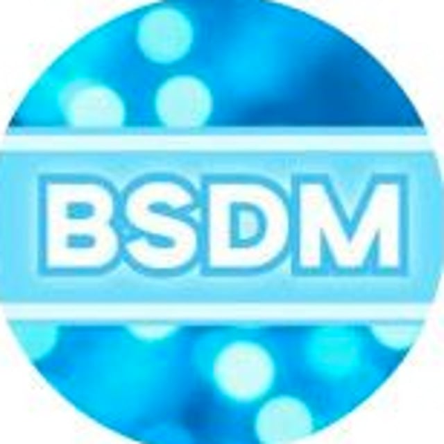 BSD Multimedia, LLC - Game Designer, Web Designer & Video Producer