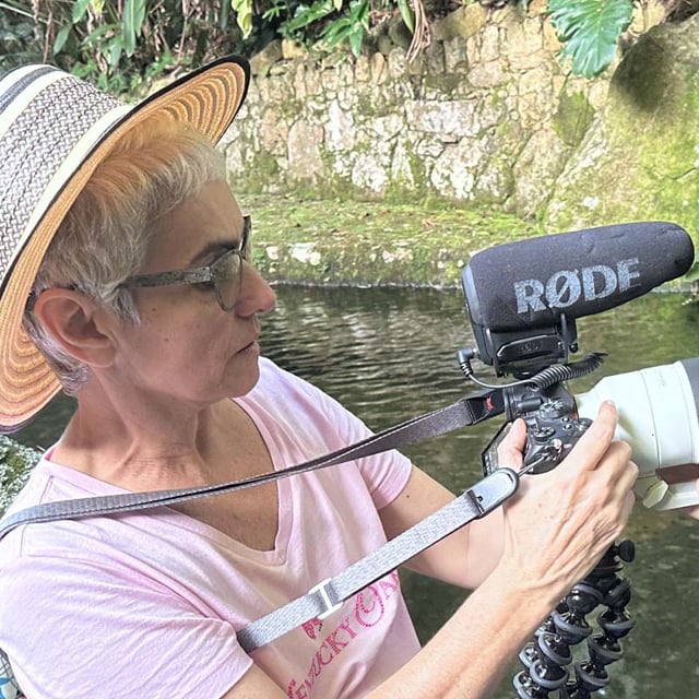 Celina Torrealba - Director