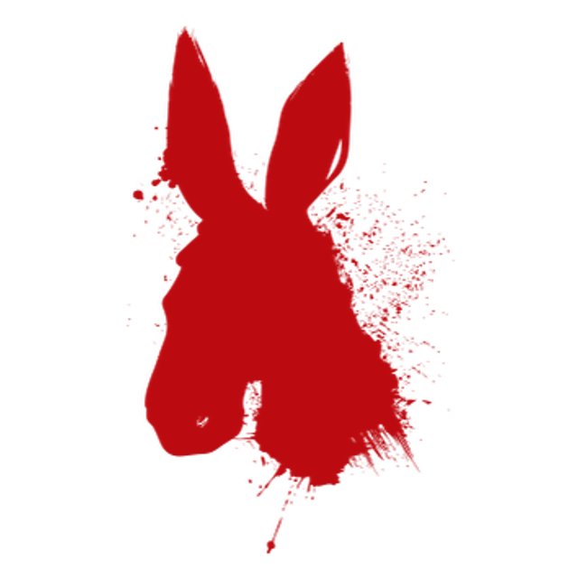 Red Donkey Creative - Director, Director of Photography (DP) & Producer