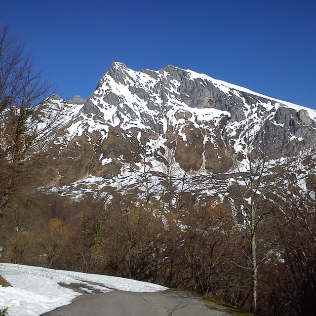 pol monte