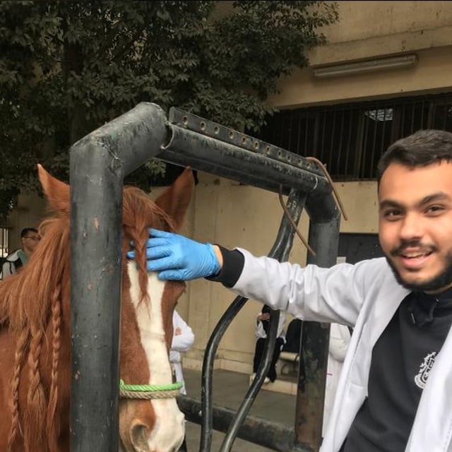 Abdulrahman Khalid - 3D Animator