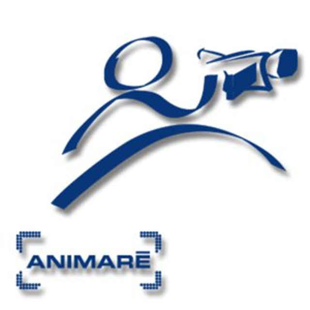 Animare - Zoom