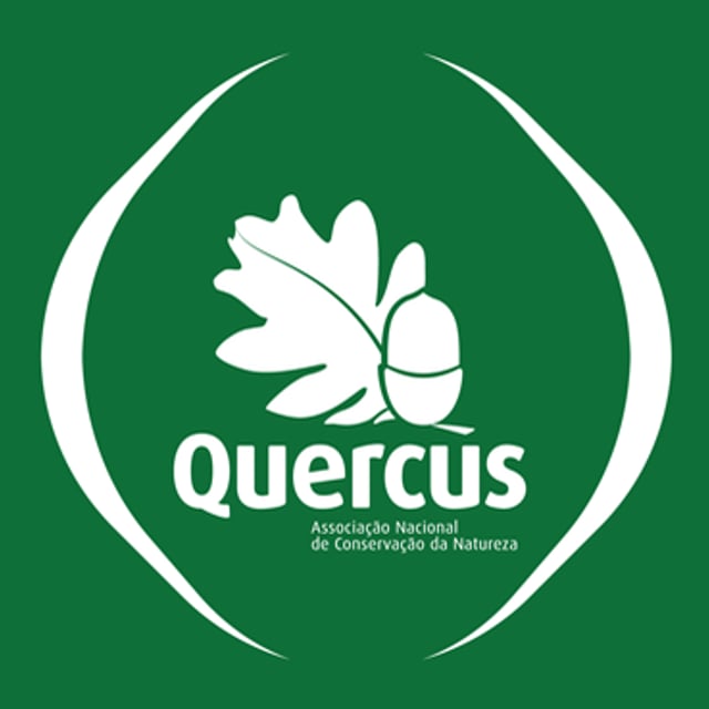 Quercus