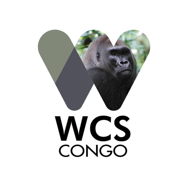 WCS Congo