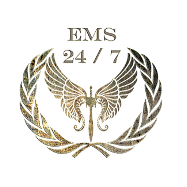 EMS 247 Global
