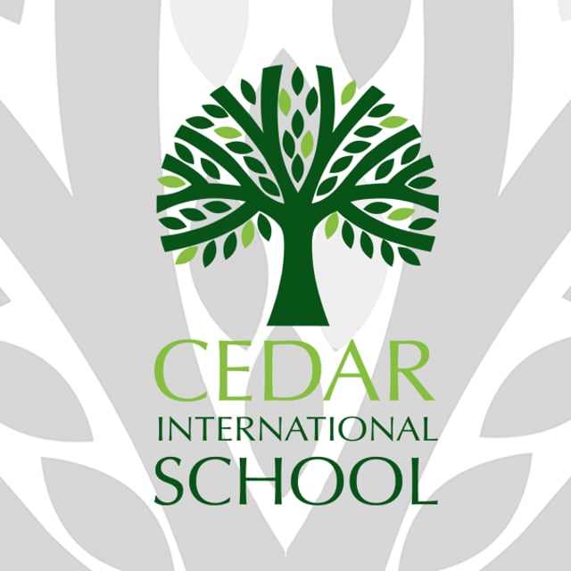 Cedar International School BVI
