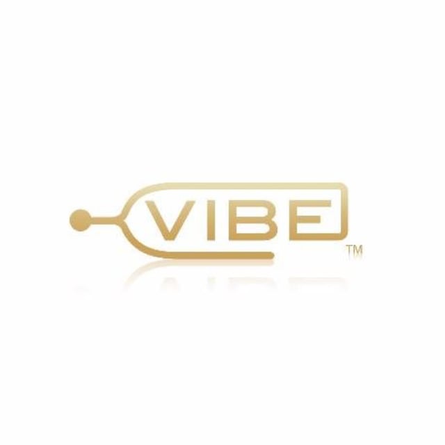 Vibe Music Group