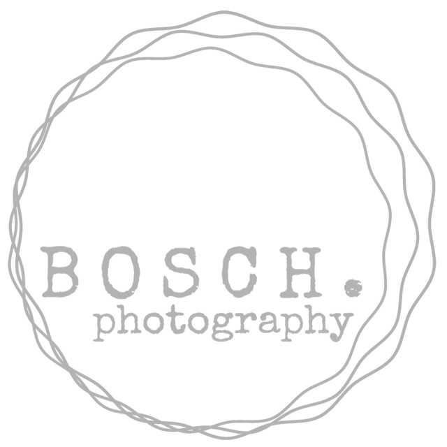Bosch Photography
