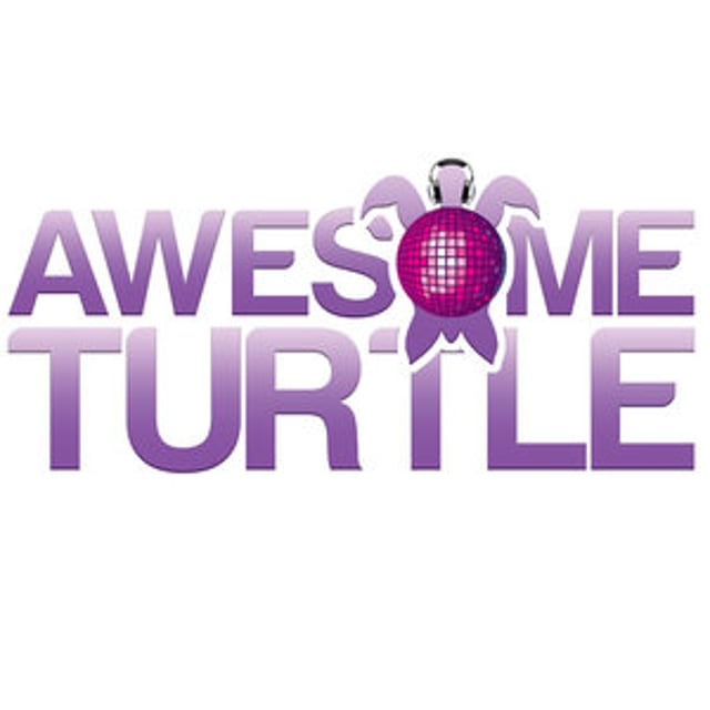 Awesome Turtle