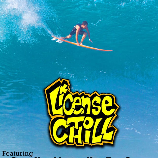 LICENSE TO CHILL