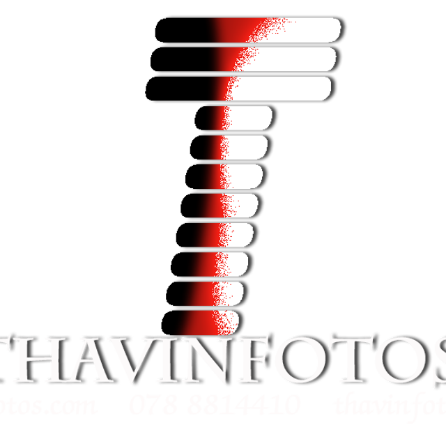 THAVIN fotos & video