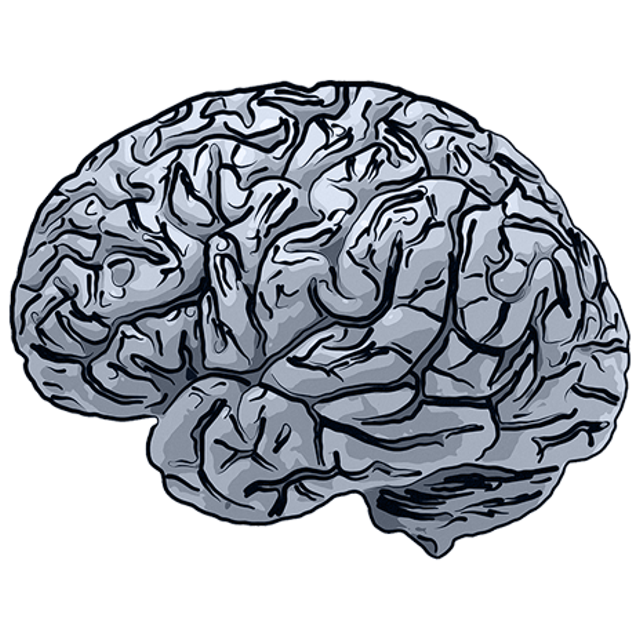 James Fite - Director, Editor & Cinematographer