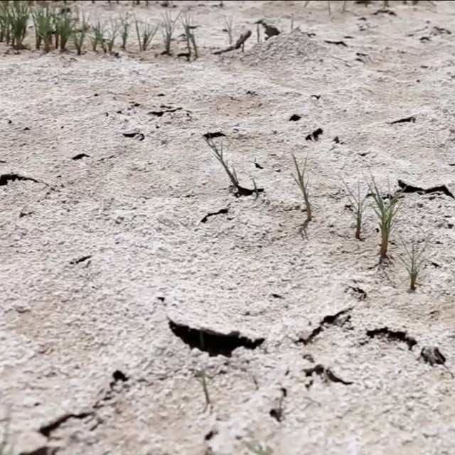 Animist Museum of Lake Texcoco