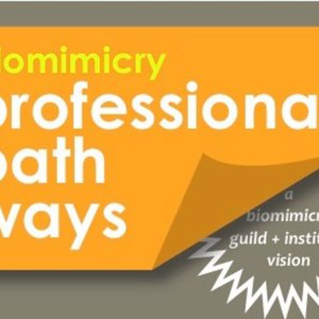 Professional Pathways