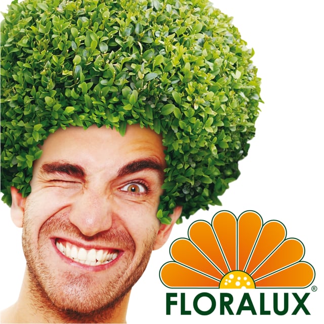 Floralux