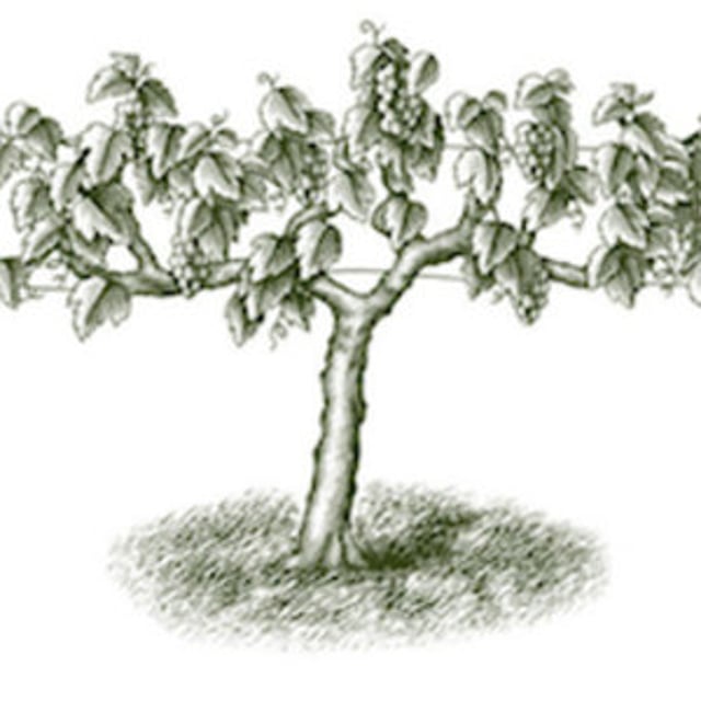 Vine View Films