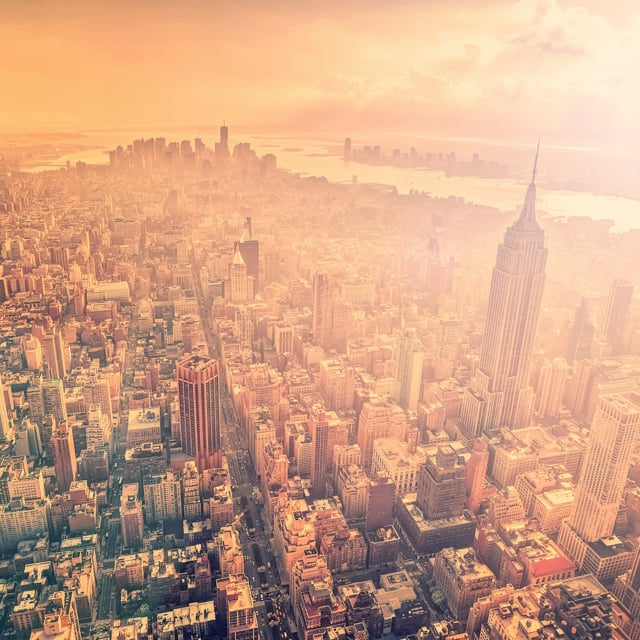 Elevated Perspective