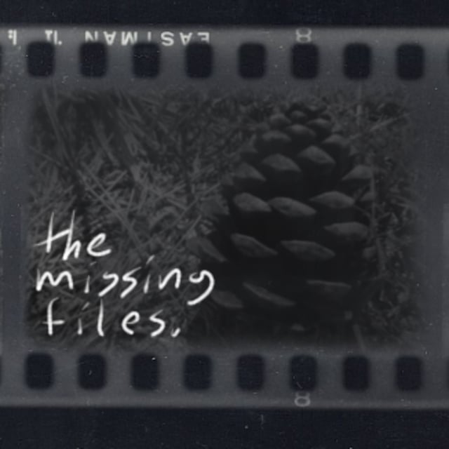 the missing files