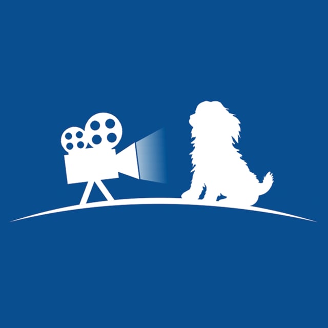 Mojo Video Solutions